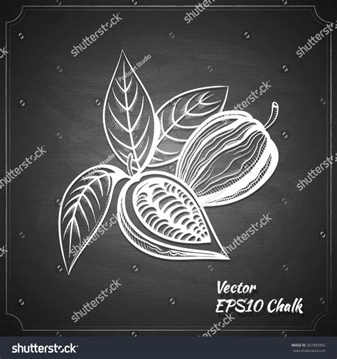 95件の「カカオポッド チョーク」の画像、写真素材、ベクター画像 Shutterstock