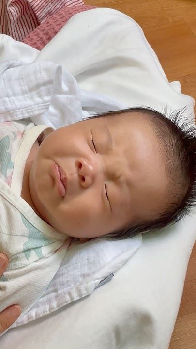 슬픈 꿈 꾸는중에 달래주니 더 슬픈 아기새 Youtube