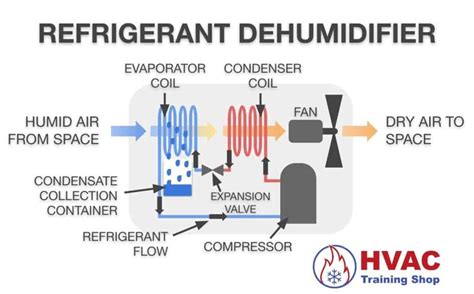 Dehumidifier Parts Explained At Sean Swick Blog