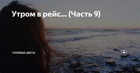 Утром в рейс… Часть 9 Полевые цветы Дзен