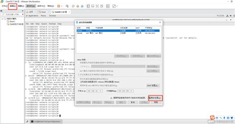 Vmware如何用dhcp获取网络ip地址（centos7）centos桥接模式怎么自动获取ip Csdn博客