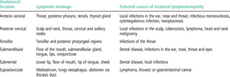 Cervical Lymph Node Map