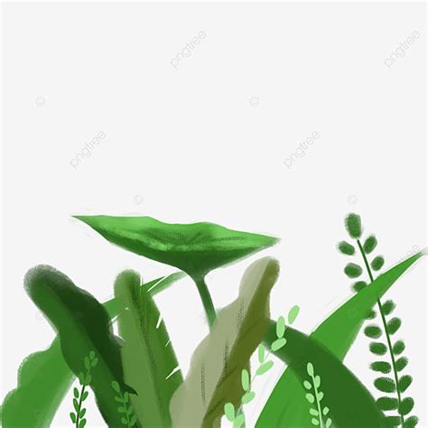 植物手繪草叢裝飾 綠色 葉子 插畫素材圖案，psd和png圖片免費下載