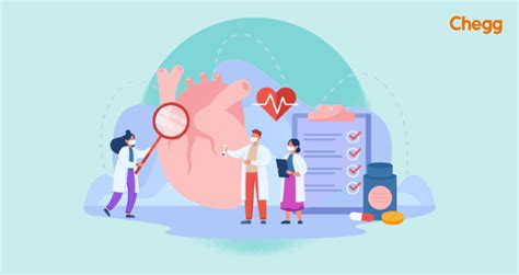 Bsc Cardiology 2025 A Comprehensive Guide