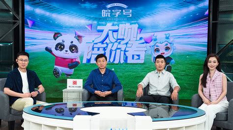 大咖陪你看体育央视网