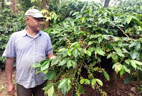 ಮಿಶ್ರ ಕೃಷಿ ಪದ್ಧತಿ ಅಳವಡಿಸಿ ಮಾದರಿಯಾದ ದಂಪತಿ A Couple Who Adopted Mixed Farming System As A Model