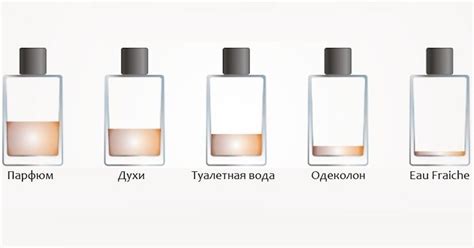 Чем духи отличаются от туалетной воды и парфюма: 5 видов в одной шпаргалке