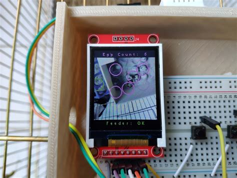 How To Handle Missing Categorical Values When The Existing Ones Are Quite Meaningful R