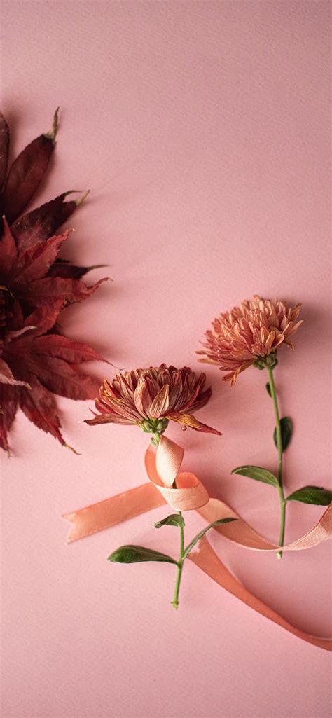 Iphone Flower Wallpaper 054