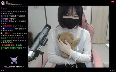 ㅇㅎ 릿코님 곰인형 귀엽다 치지직 에펨코리아