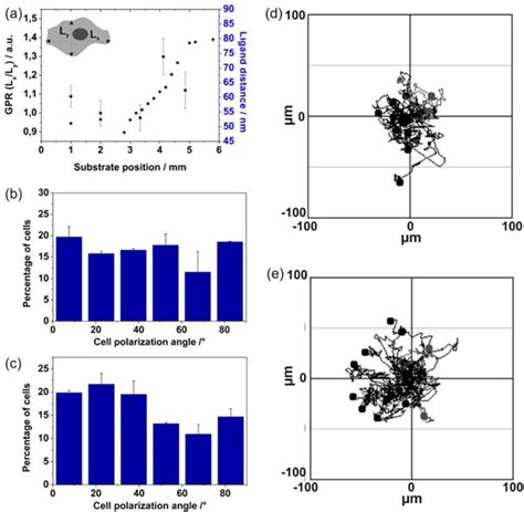 Induction Of Cell Polarization And Migration By A Gradient Of Nanoscale Variations In Adhesive