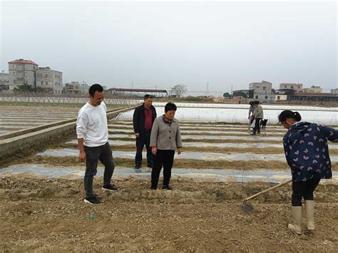 北海市开展豇豆农药残留攻坚治理检查指导工作北海广西壮族自治区农业农村厅