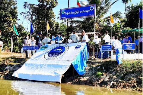 သံဖြူဇရပ်မြို့၌ ငါးသယံဇာတတိုးပွားစေရေး ကြာကန်သဘာဝရေပြင် ရေကန်အတွင်းသို့