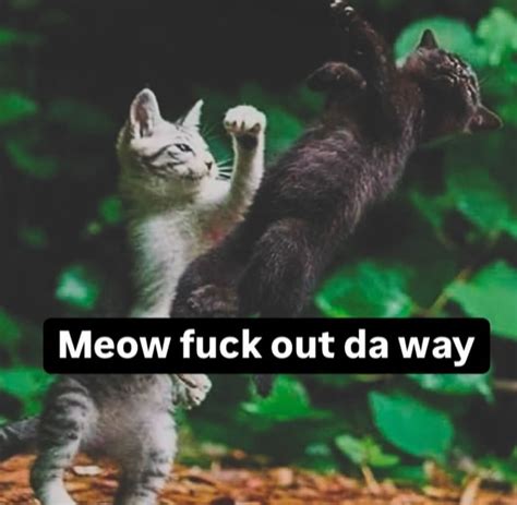 Ale Saw This On Tiktok Kiwiscrotum Instagram