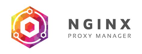 Cómo Instalar Nginx Proxy Manager Usando Docker Compose Labarta