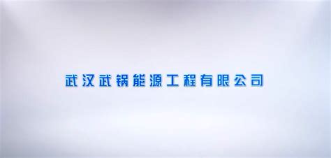 武汉武锅能源工程有限公司电站锅炉特种锅炉高端电站阀门