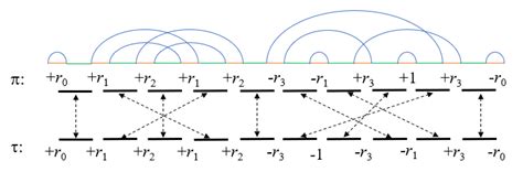 the bijection between identical adjacencies in a[π] and a[τ ] and the