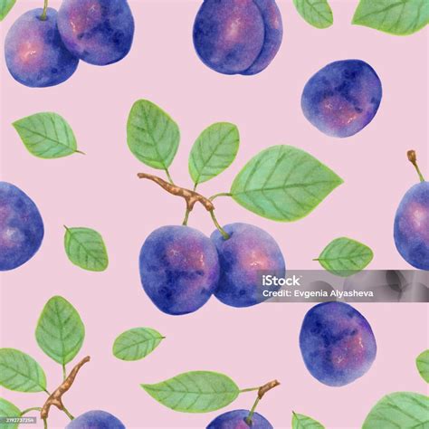 완벽 한 과일 패턴입니다 잎이 있는 보라색 자두 마커와 수채화가 있는 식물 그림 손으로 그린 고립 된 배경입니다 식품 포장 디자인 식탁보에 대 한 매실 열매 벽지 가지치기에