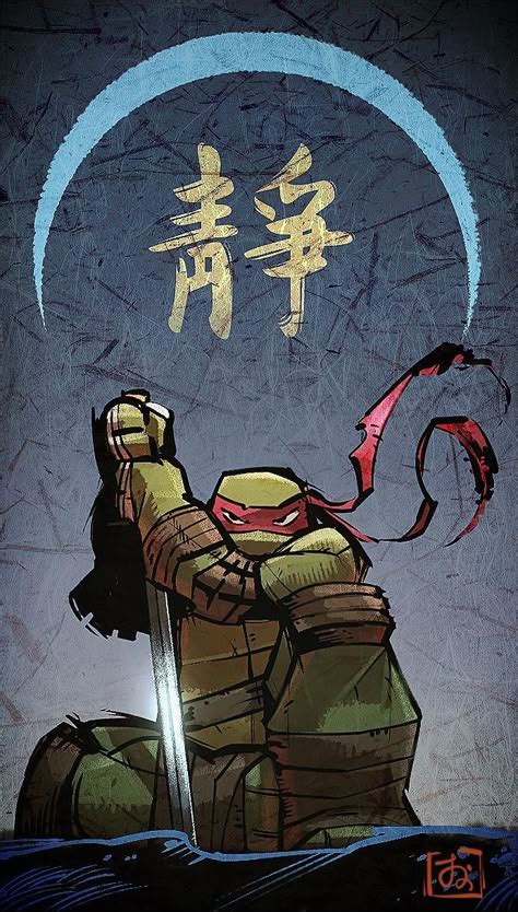Rottmnt Tartarugas Ninjas Desenhos Animados Ninja