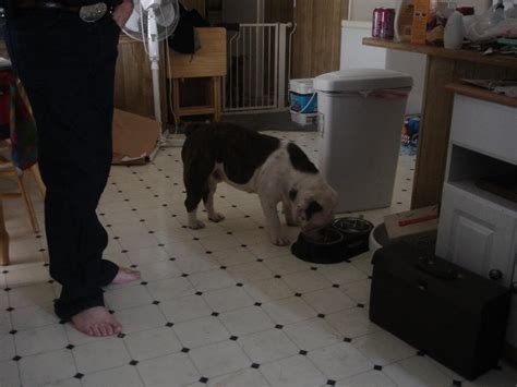 Grandpa Foot Fettish All Chubby Grandpas Feet And Naked Pictures