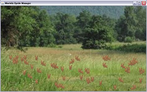Macteki Guide On Java Programming Moving Objects And Sprite Manager