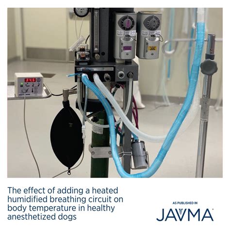 The Combination Of A Heated Humidified Breathing Circuit And A Warm Water Blanket Can Reduce The