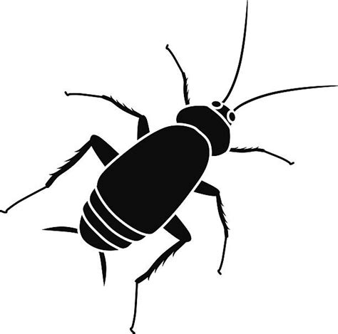 Cockroach Clip Art Vector Images And Illustrations Istock