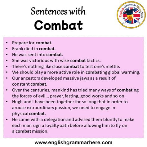 Sentences With Combat Combat In A Sentence In English Sentences For