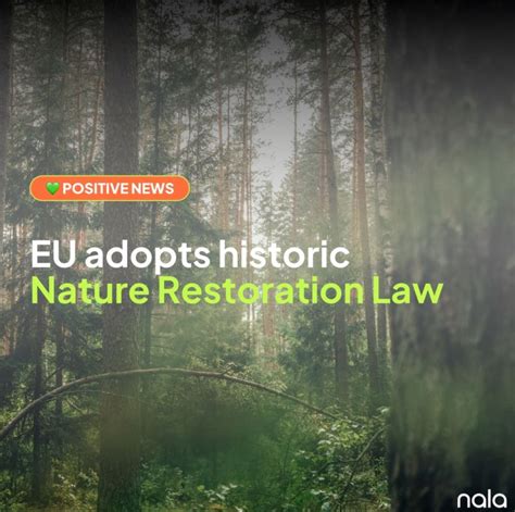 What A R3leaf The Eu Just Adopted The Nature Restoration Law Setting The Political Stage For