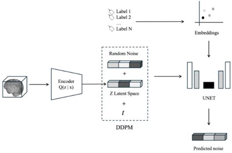[논문 리뷰] Diffusion Models For Conditional Mri Generation