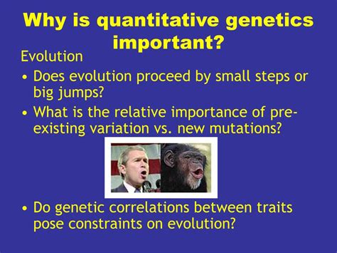 PPT Introduction To Quantitative Genetics PowerPoint Presentation Free Download ID