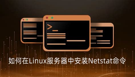 如何在linux服务器中安装netstat命令 A5数据