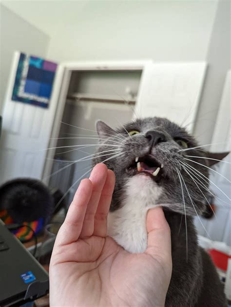 🖥️ Did You Know That The Qwerty Keyboard Layout Was Designed To Slow Down Typing Back In The