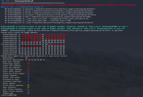 Global Buffer Overflow In Gettoken At Mainc Ver 191 · Issue 75