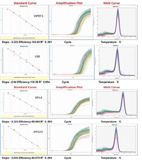 22b Qpcr Standard Curve Amplification Plot And Melt Curve Of Hprt1 Download Scientific