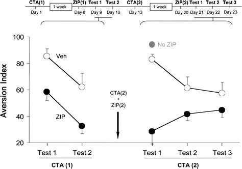Boundary Conditions For The Maintenance Of Memory By Pkmζ In Neocortex