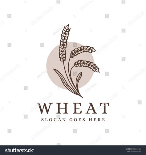 Vintage Line Art Wheat Branch Logo Stock Vector Royalty Free
