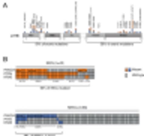 Distribution Of Somatic Pik3ca Mutations In Endometrial Cancers And