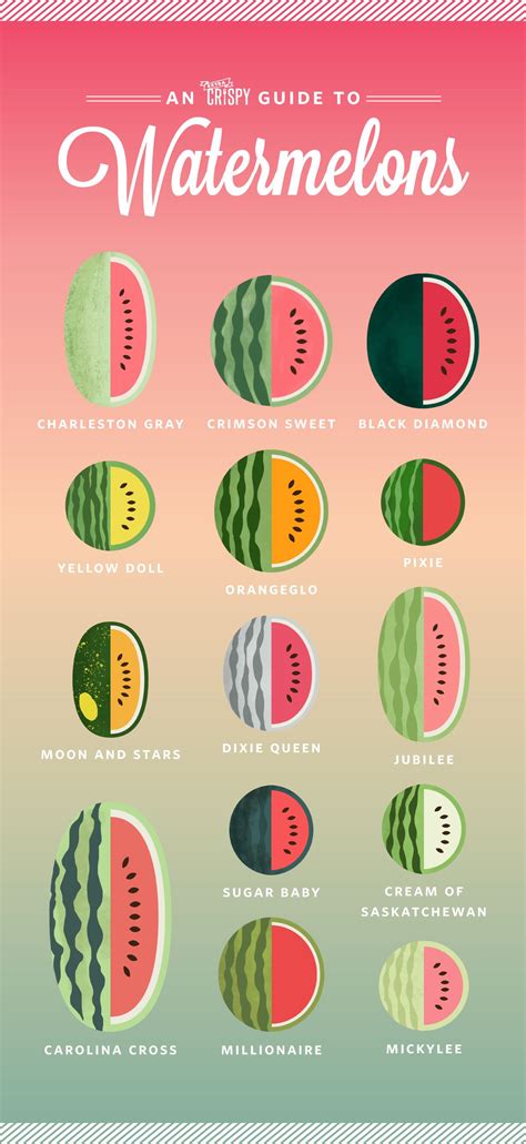 Melon Size Chart At Keith Shoemaker Blog