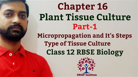 Class 12 Chapter 16 Plant Tissue Culture Micropropagation Step Types Of Tissue Culture