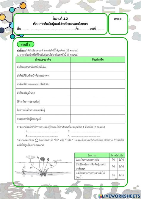 ใบงาน เรื่องการสืบพันธุ์แบบไม่อาศัยเพศของพืชดอก ตอนที่ 1