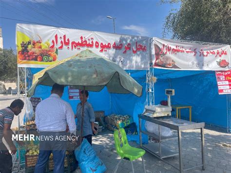 ضرورت حمایت و توانمندسازی صندوق تعاون روستایی ایرانیان خبرگزاری مهر