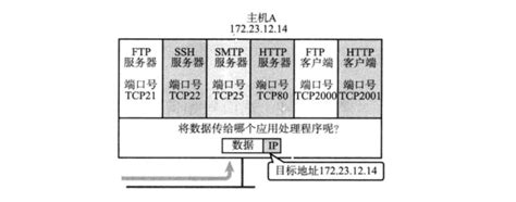 【linux网络9】：传输层协议 Udp Csdn博客