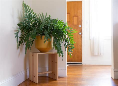 Photo 1 Of 10 In You—yes You—can Build This Simple Stool In A Weekend