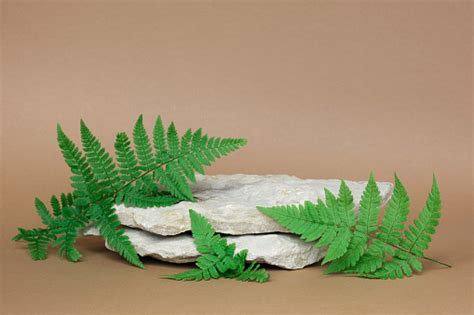 베이지 색 배경에 대한 홍보를위한 돌 연단 자연 받침대 바위 뷰티 제품 모형 제품을 표시하는 장면입니다 쇼케이스 디스플레이