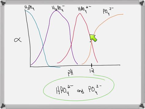 Solved 6 Consider The Acid Base Equilibria Of The Phosphate Ion In