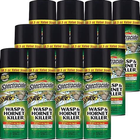 Spectracide Wasp And Hornet Killer Aerosol Kills Wasps