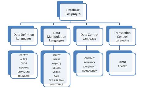 database languages and their types in dbms
