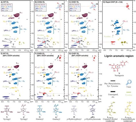 Exogenous Chalcone Synthase Expression In Developing Poplar Xylem