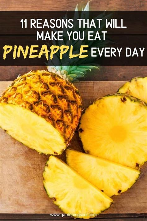 11 Reasons That Will Make You Eat Pineapple Every Day